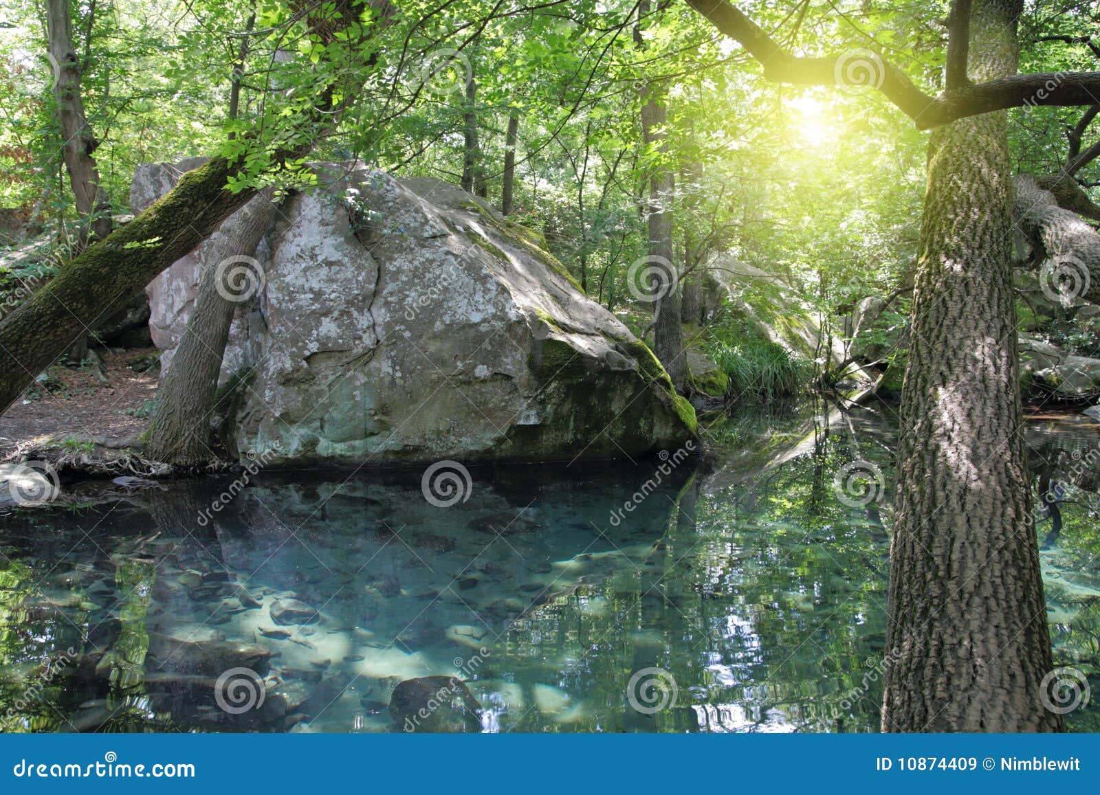 Lake in deep forest stock image. Image of leaf, river - 10874409