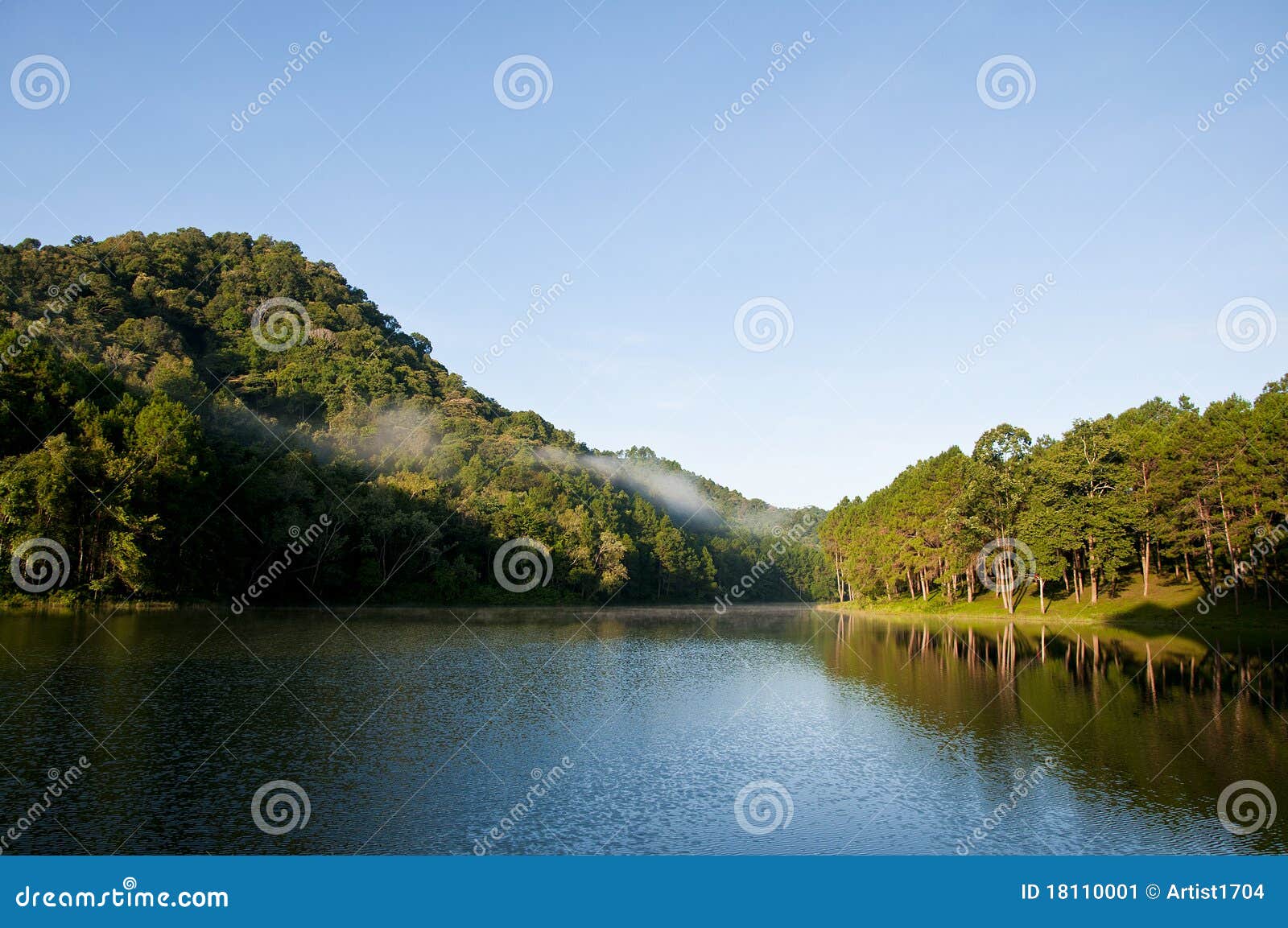 Lake in deep forest stock image. Image of grass, outdoor - 18110001