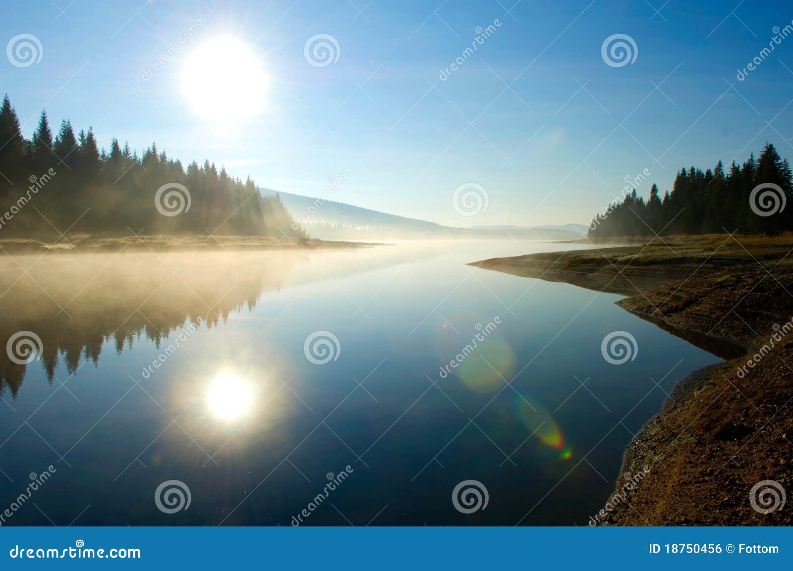 Lake in Deep Forest stock photo. Image of idyllic, nature - 18750456
