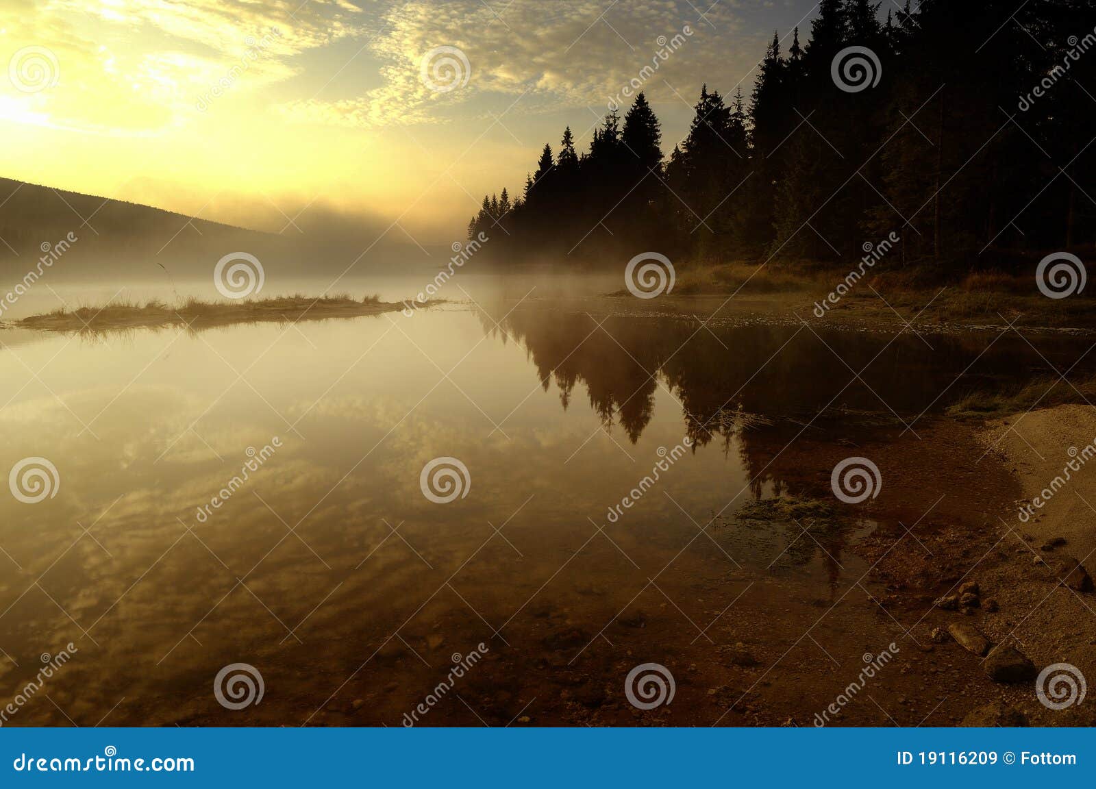 Lake in Deep Forest stock image. Image of pond, morning - 19116209