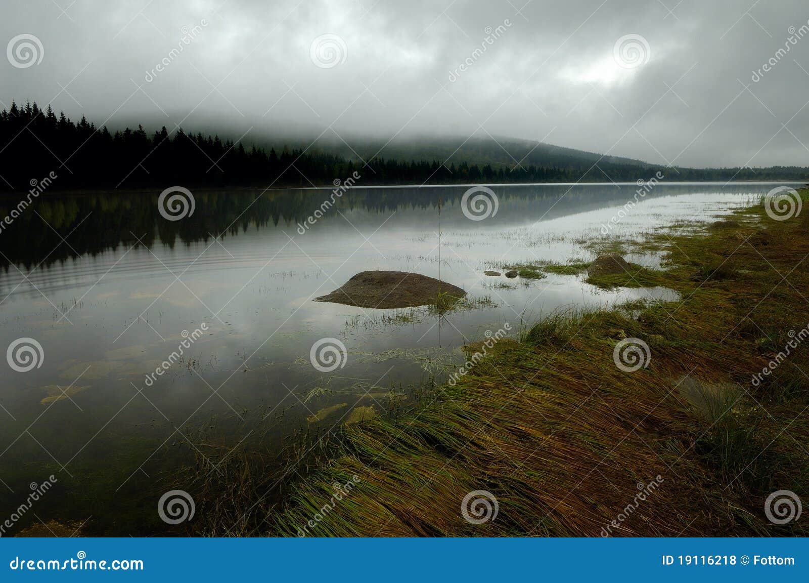 Lake in Deep Forest stock photo. Image of mirror, hiking - 19116218