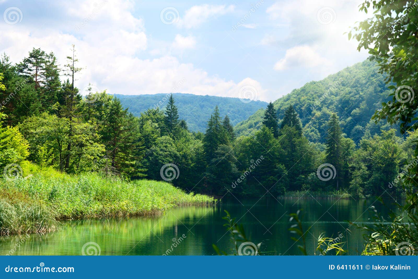 Lake in deep forest stock image. Image of summer, mountain - 6411611