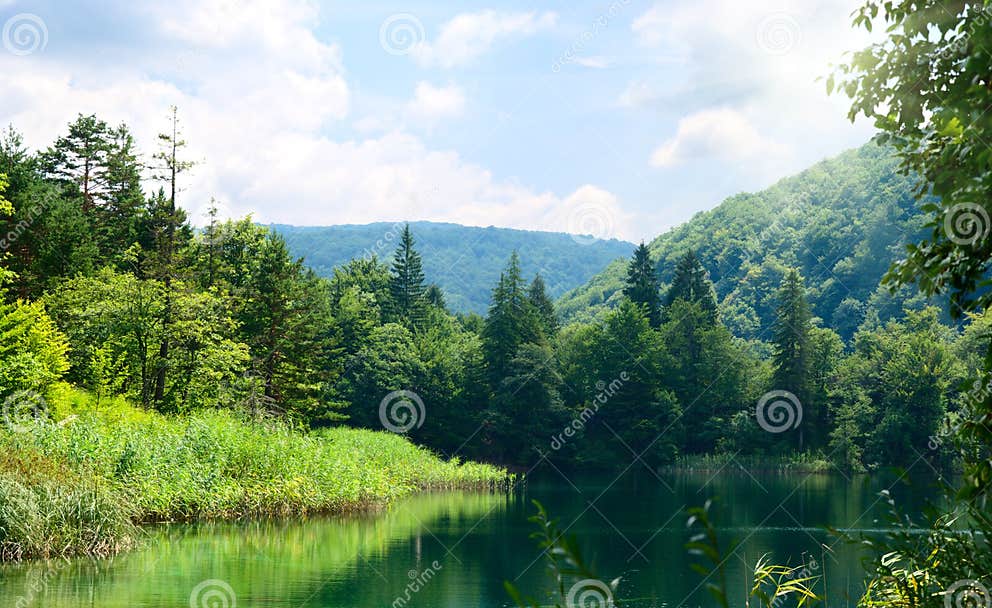 Lake in deep forest stock image. Image of summer, mountain - 6411611