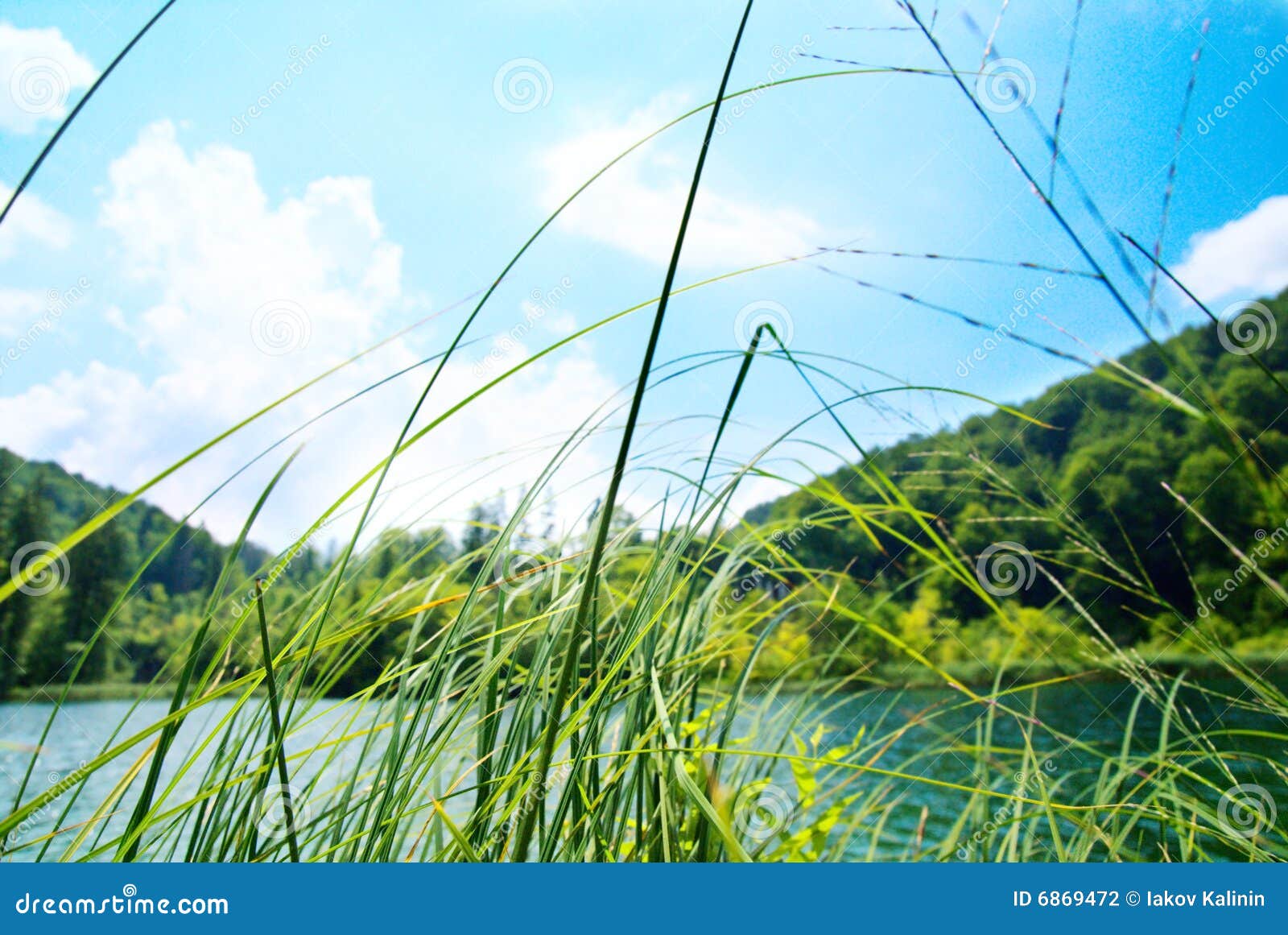 Lake in deep forest stock photo. Image of park, stone - 6869472