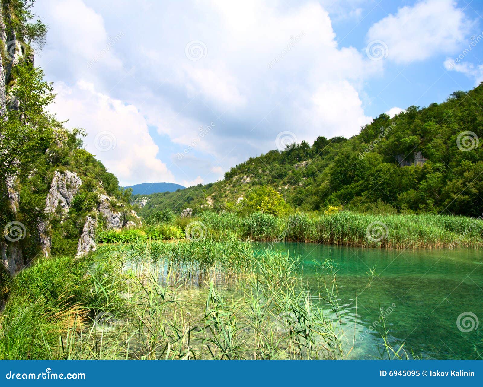 Lake in deep forest stock image. Image of rock, scenery - 6945095