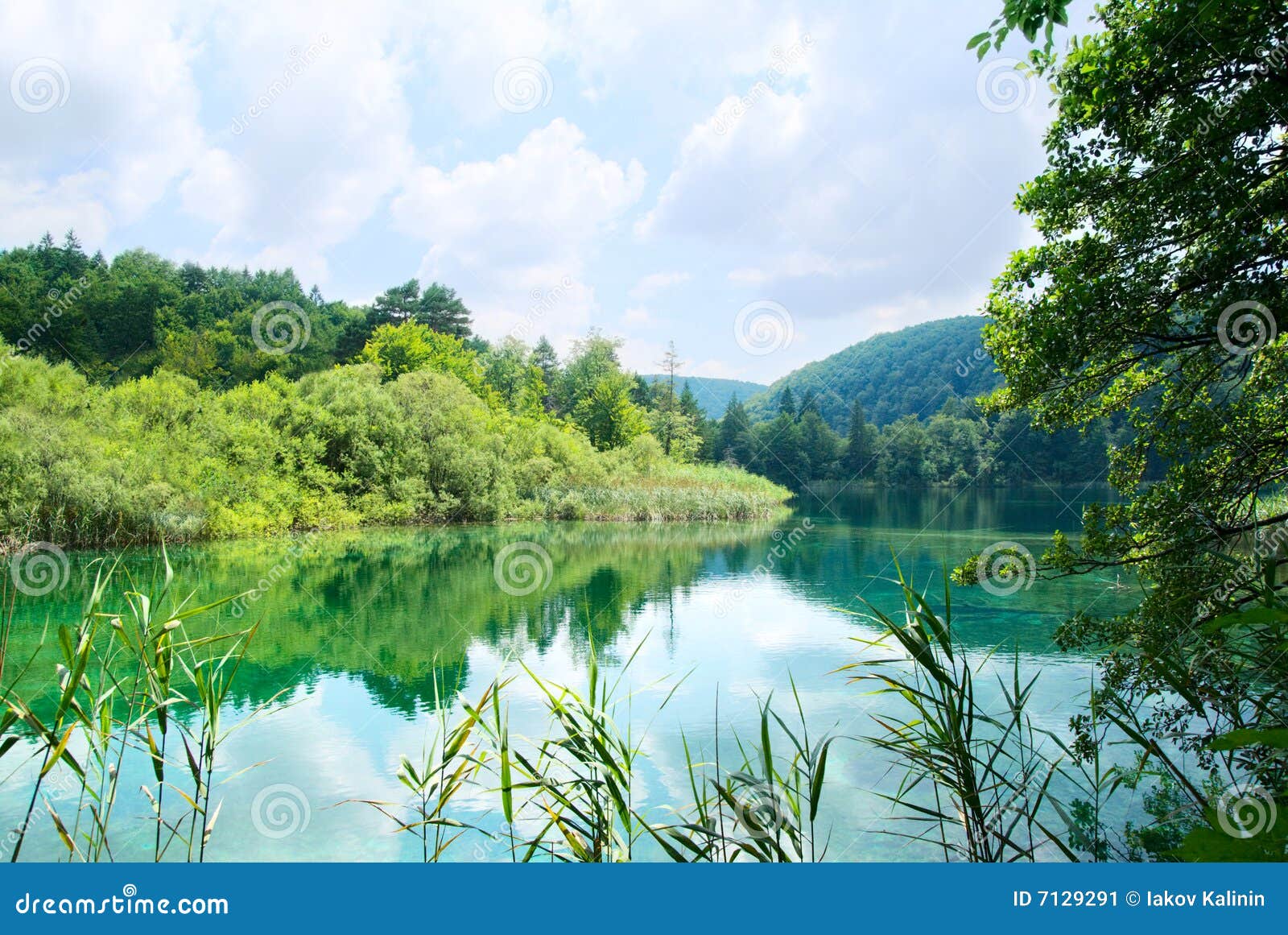 Lake in deep forest stock image. Image of colorful, river - 7129291