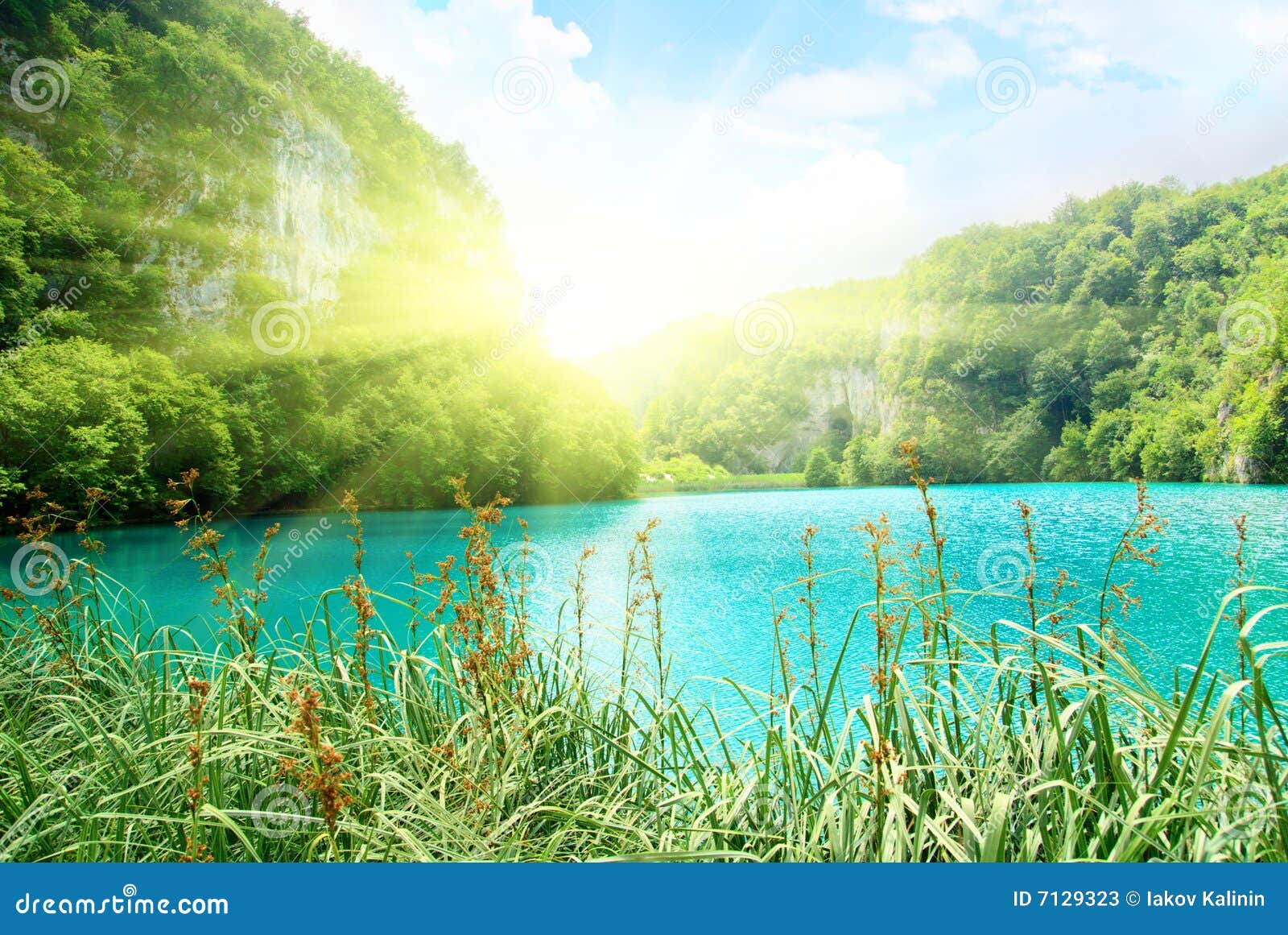 Lake in deep forest stock image. Image of forest, colorful - 7129323