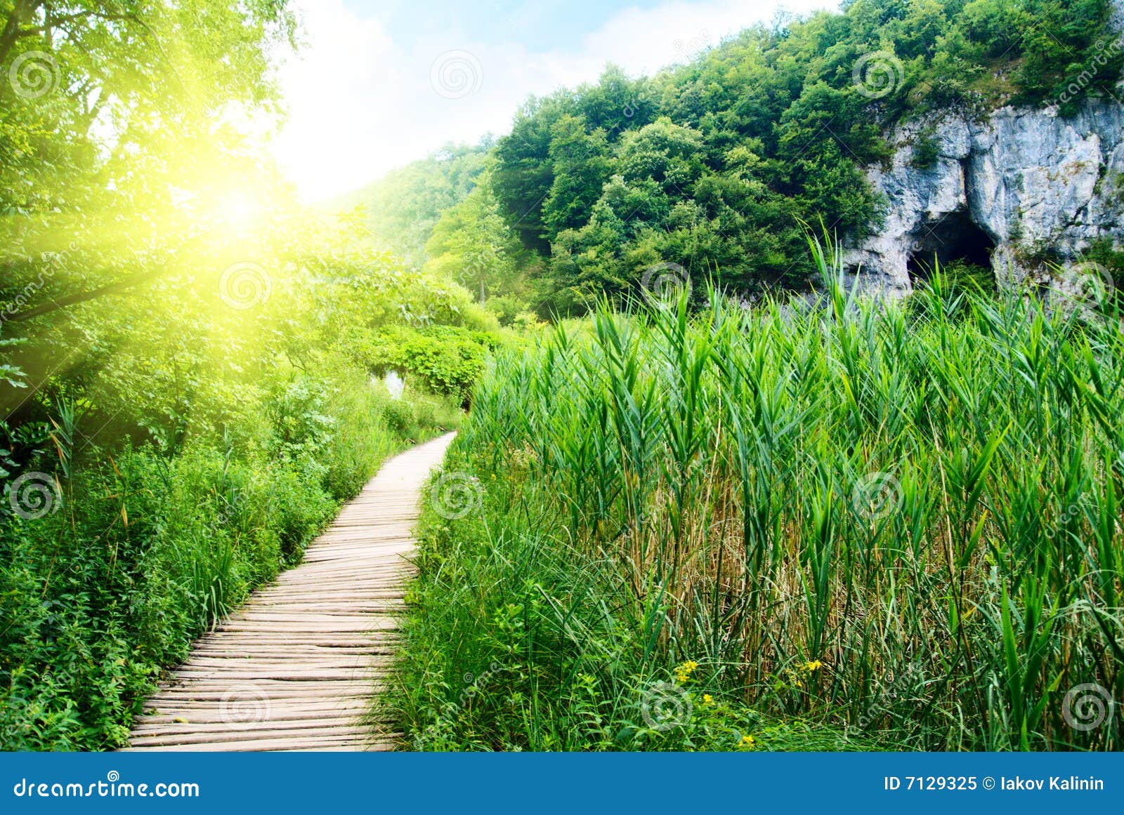 Lake in deep forest stock image. Image of colorful, mirror - 7129325