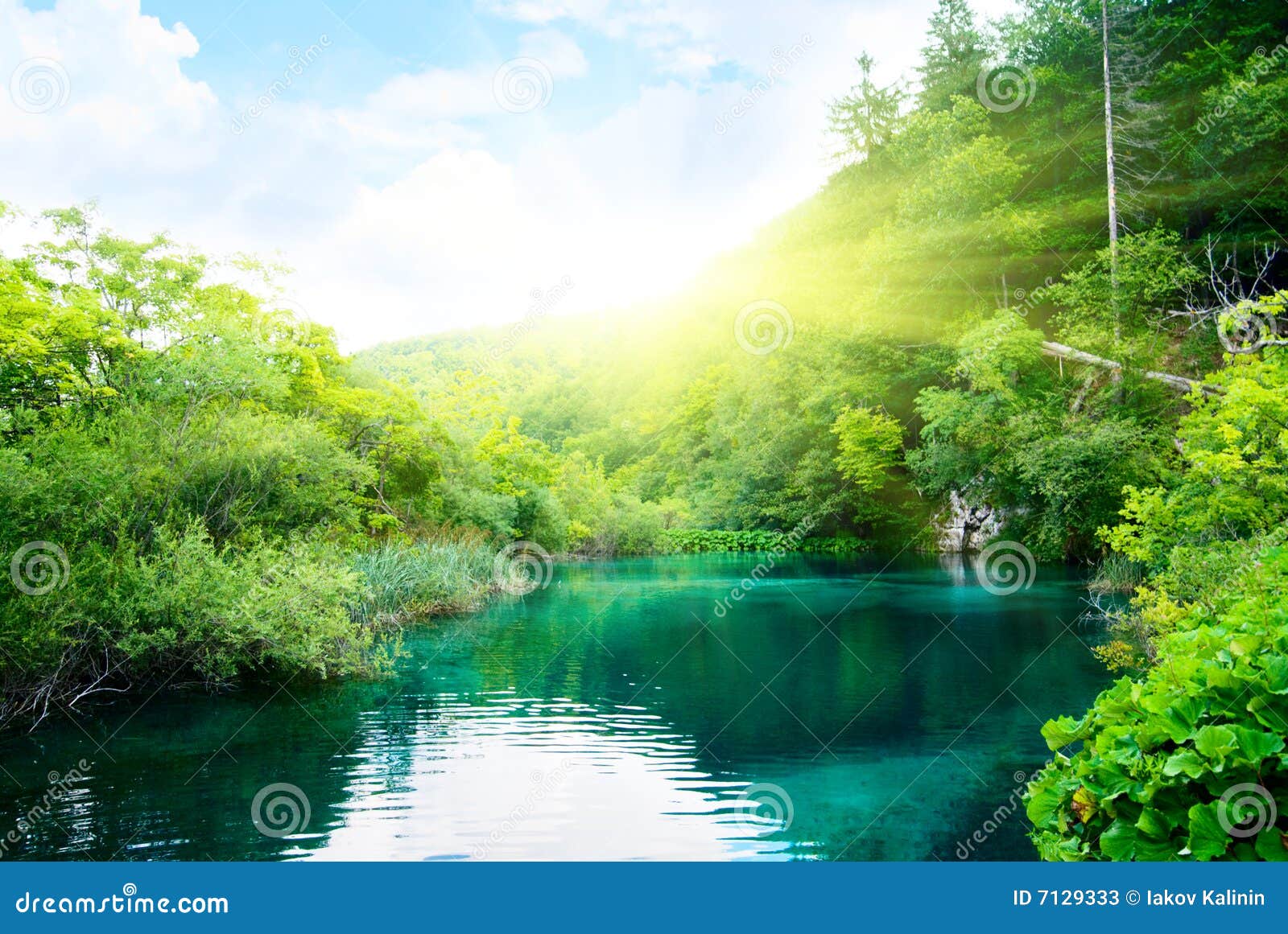 Lake in deep forest stock image. Image of outdoor, croatia - 7129333