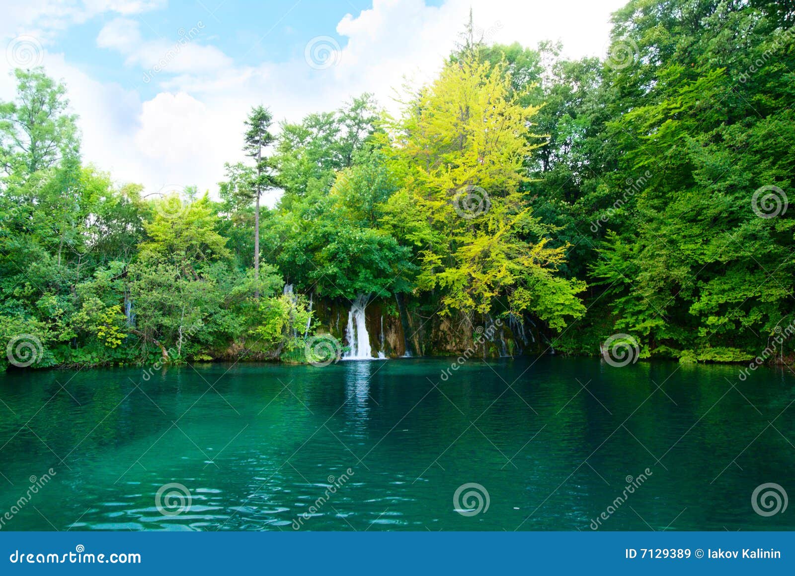 Lake in deep forest stock image. Image of scenery, reflect - 7129389