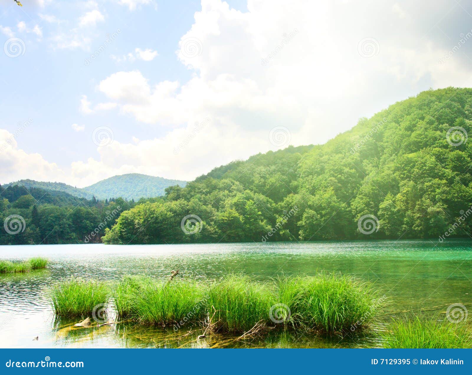 Lake in deep forest stock image. Image of natural, stone - 7129395