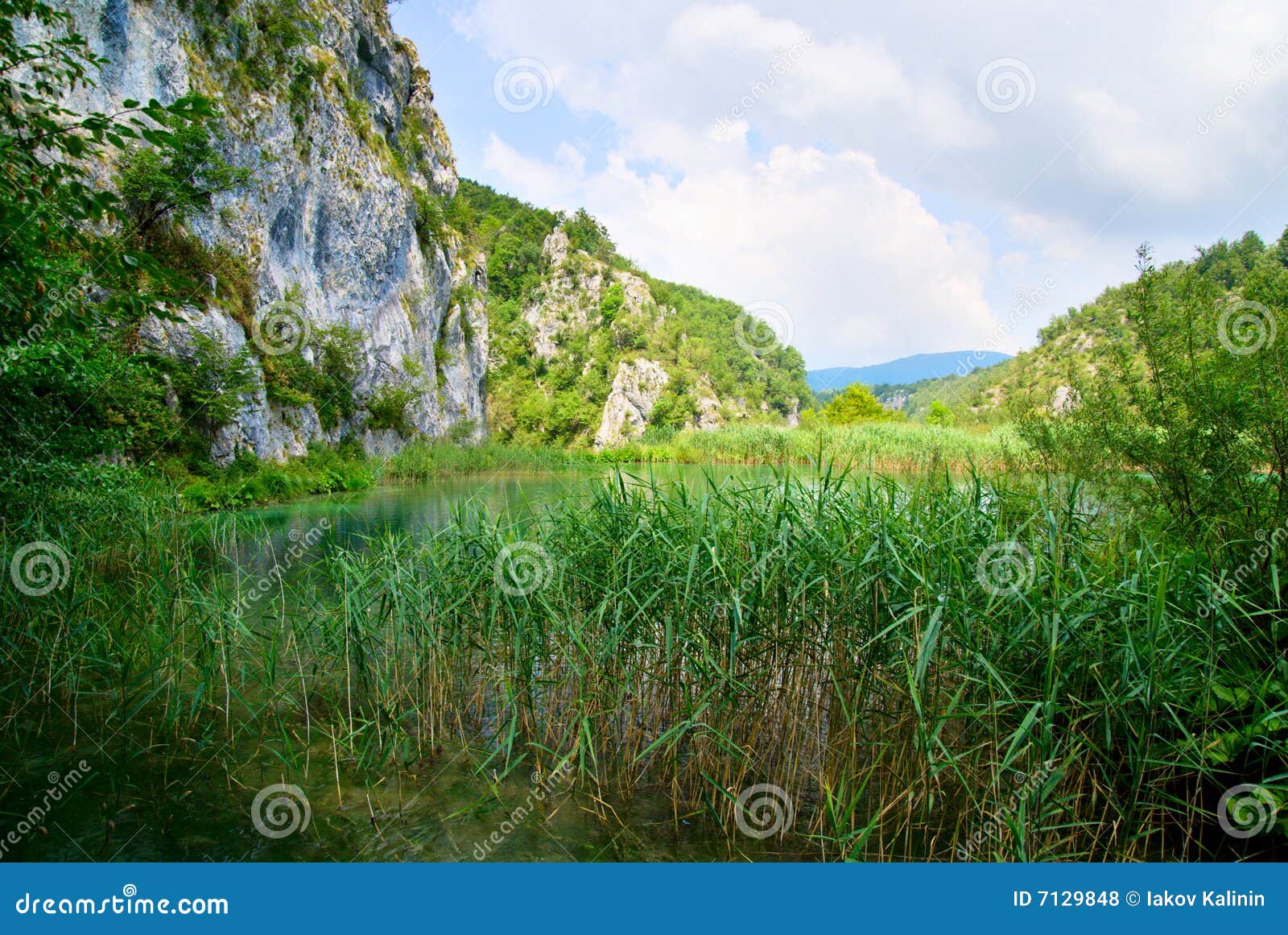 Lake in deep forest stock photo. Image of park, grass - 7129848