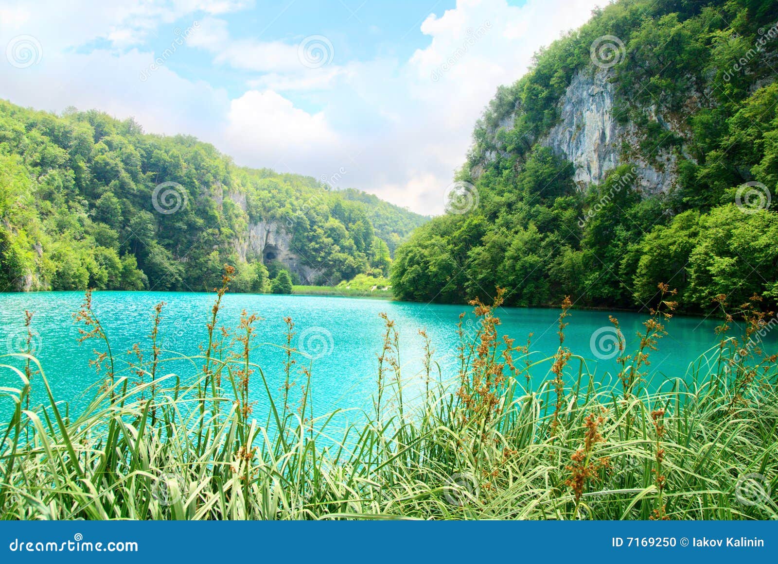 Lake in deep forest stock photo. Image of ecology, mountain - 7169250