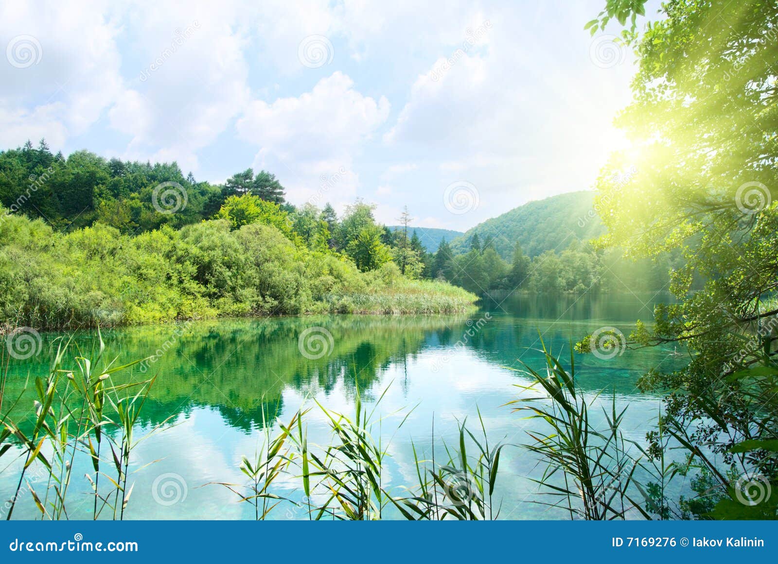 Lake in deep forest stock photo. Image of natural, reflect - 7169276