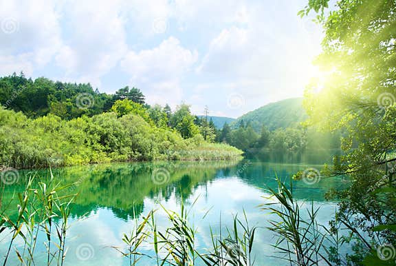 Lake in deep forest stock photo. Image of natural, reflect - 7169276
