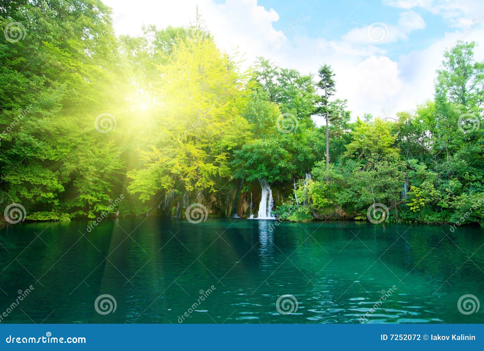 Lake in deep forest stock photo. Image of environment - 7252072