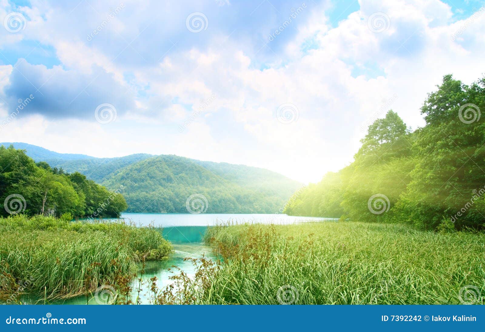 Lake in deep forest stock photo. Image of lake, leaf, ecology - 7392242