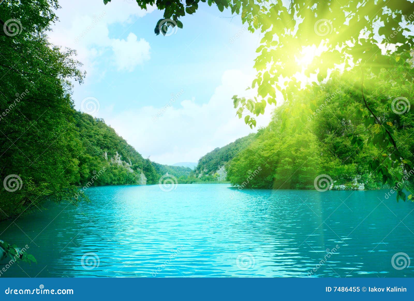 Lake in deep forest stock image. Image of rock, outdoor - 7486455