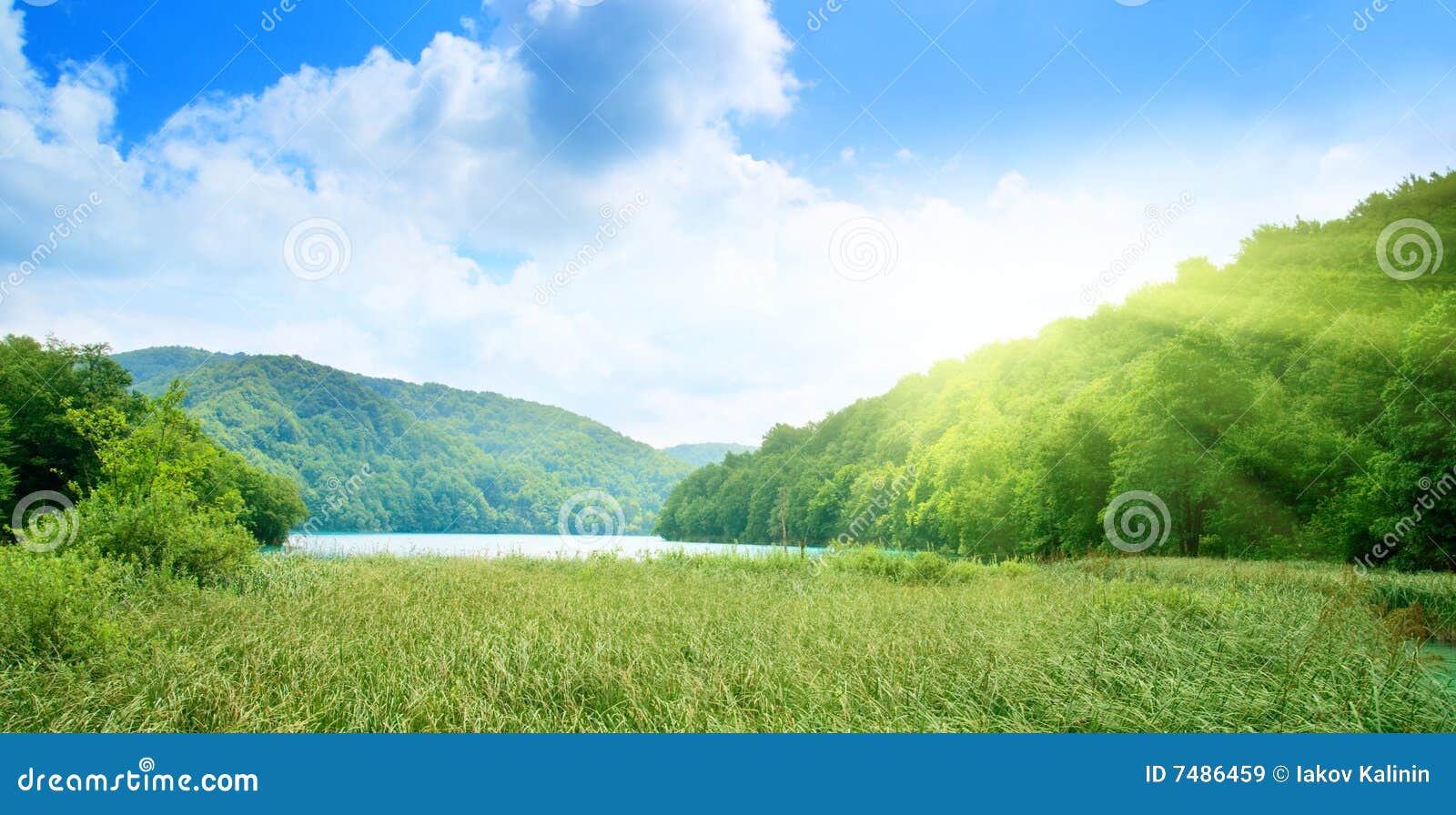 Lake in deep forest stock image. Image of river, idyllic - 7486459