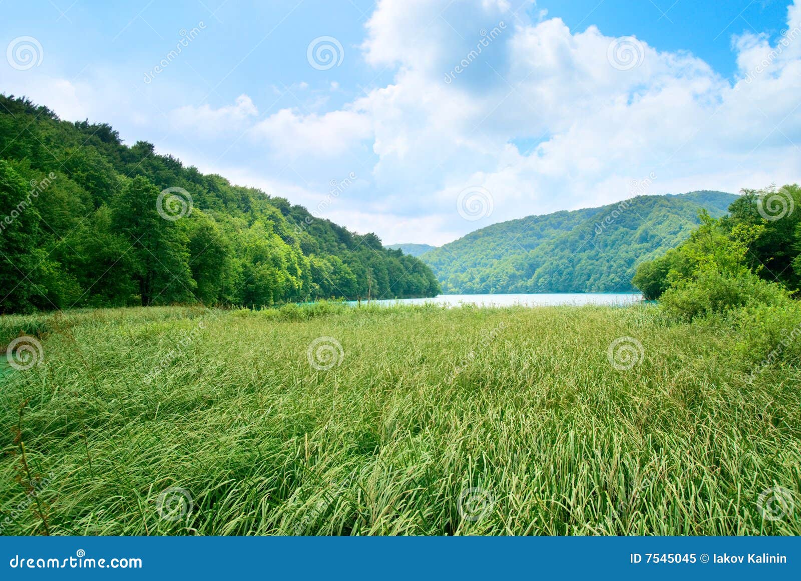 Lake in deep forest stock image. Image of mountain, reflection - 7545045