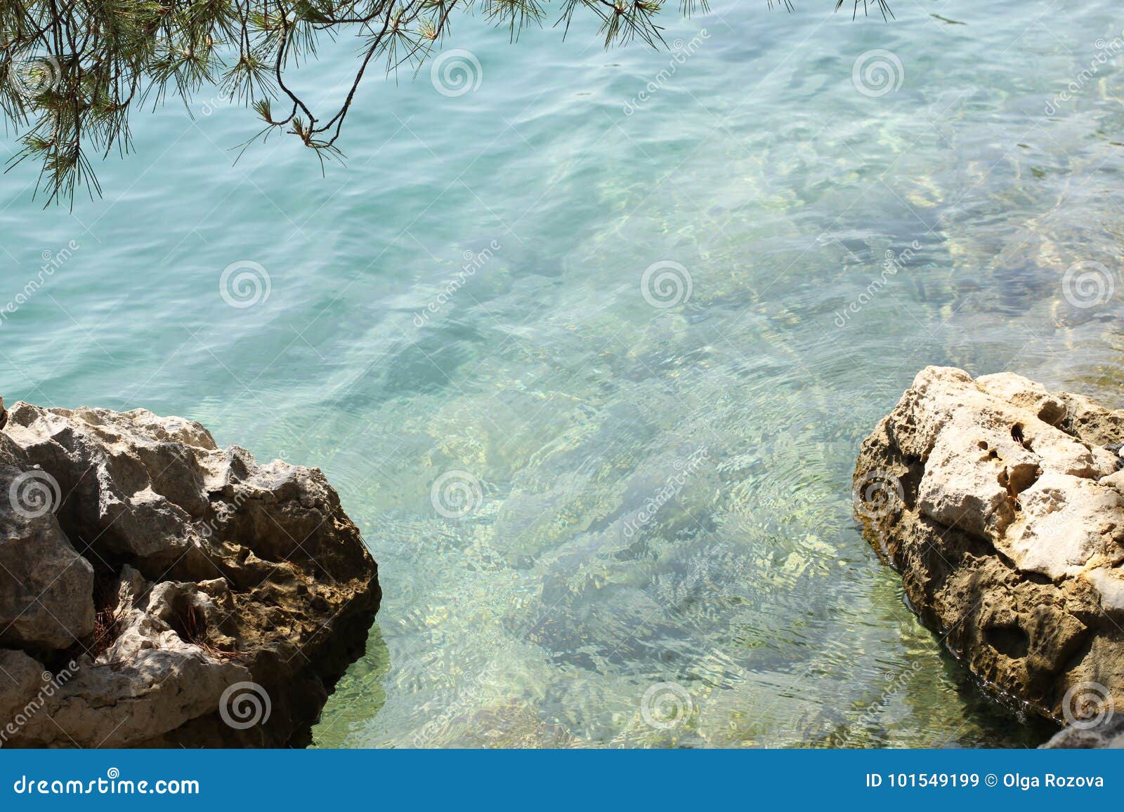 Lake in deep forest. stock image. Image of panorama - 101549199