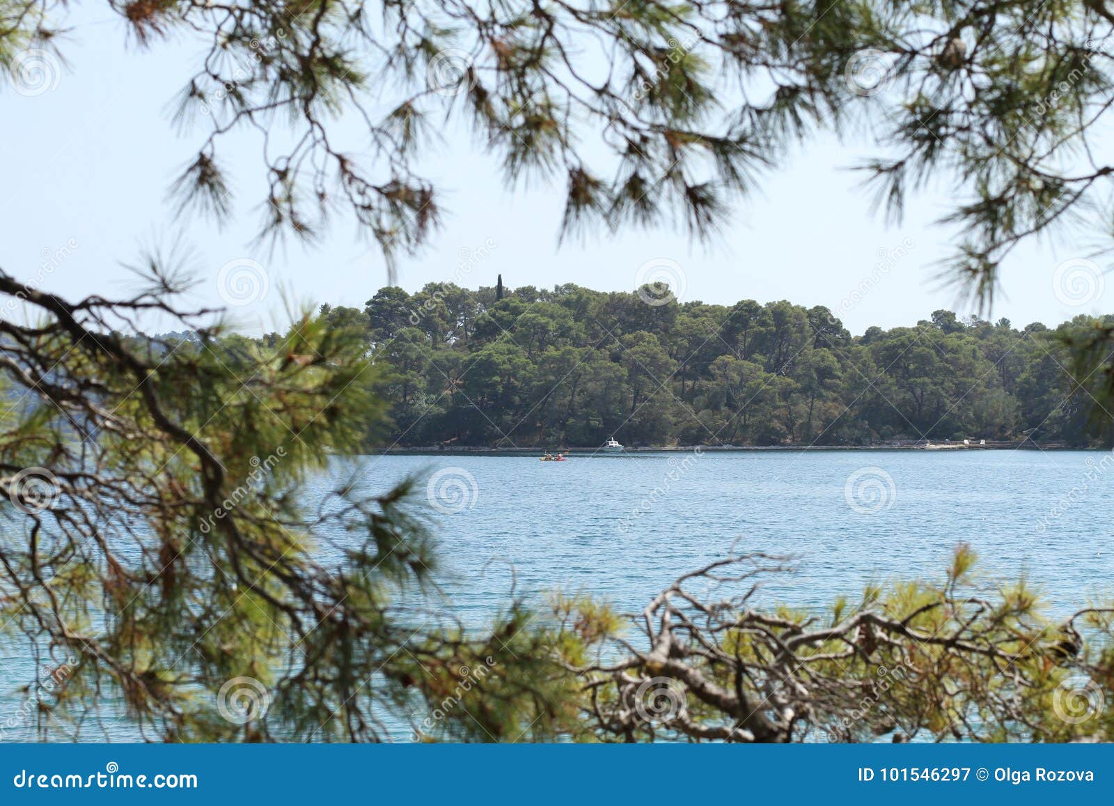 Lake in deep forest. stock image. Image of panorama - 101546297