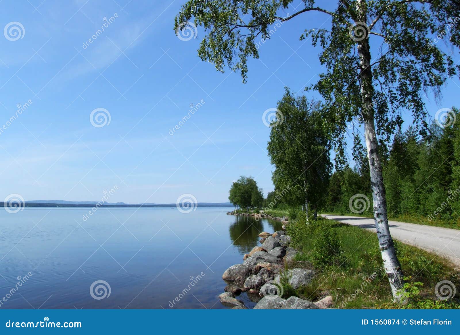 Lake Dellen stock photo. Image of tree, lake, dellen, halsingland - 1560874