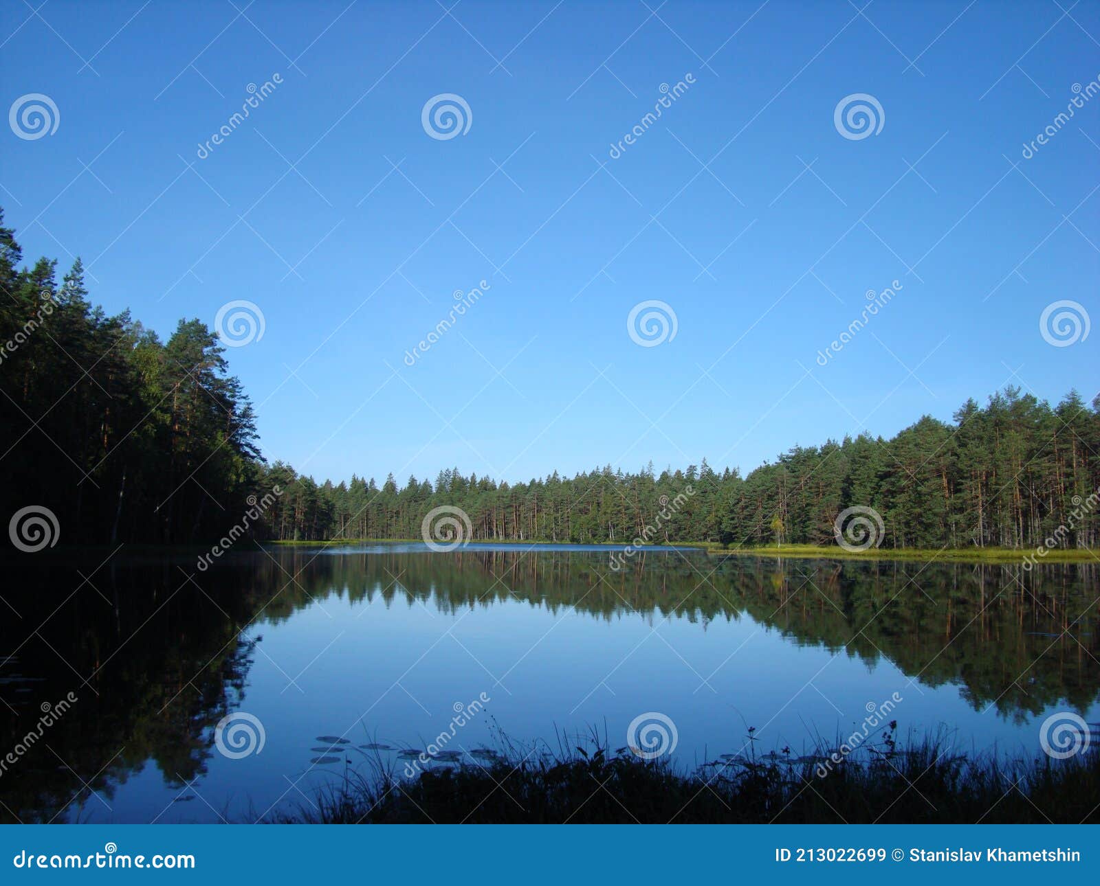 Lake in the distant forest stock image. Image of ecology - 213022699