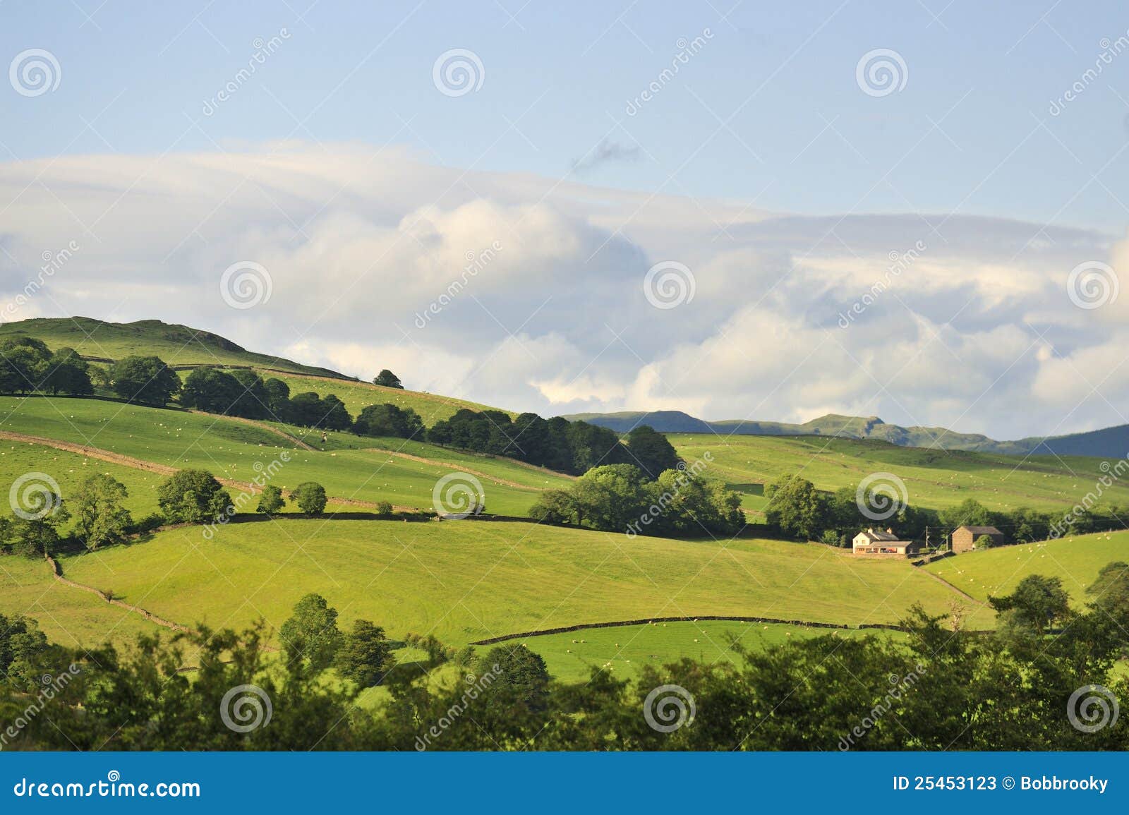 Lake District, Farm on the Fells, Cumbria Stock Image - Image of park ...