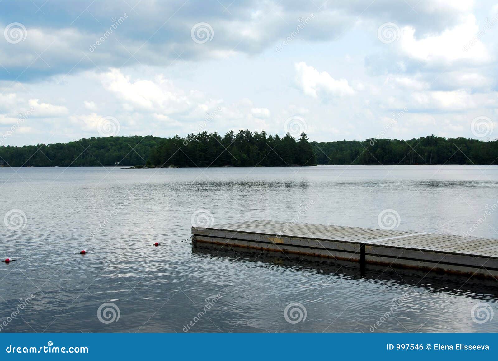 Lake and dock stock photo. Image of nature, forest, natural - 997546