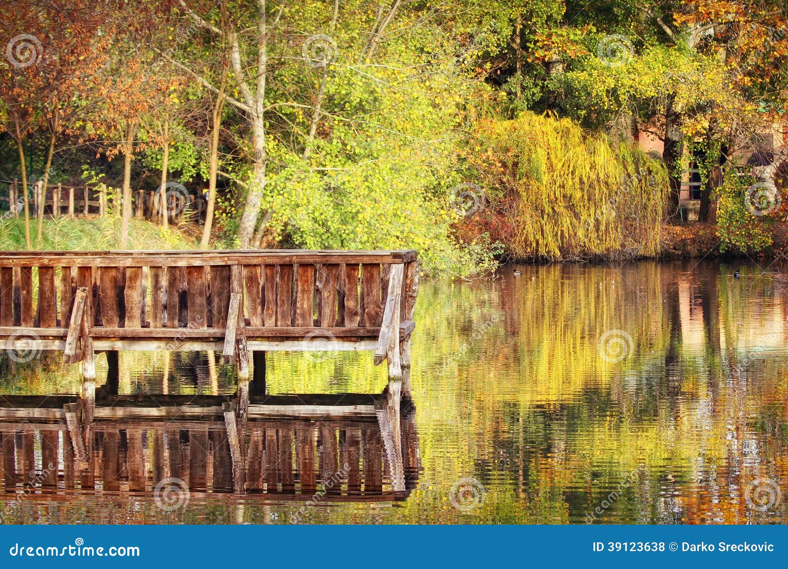 Lake stock photo. Image of dock, foliage, wooden, park - 39123638
