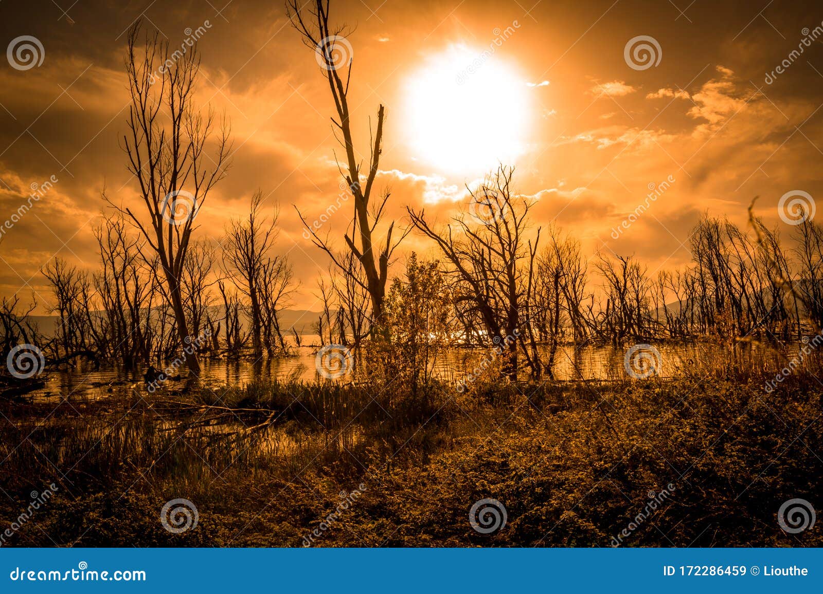Lake Doirani, Greece stock image. Image of doiran, greece - 172286459