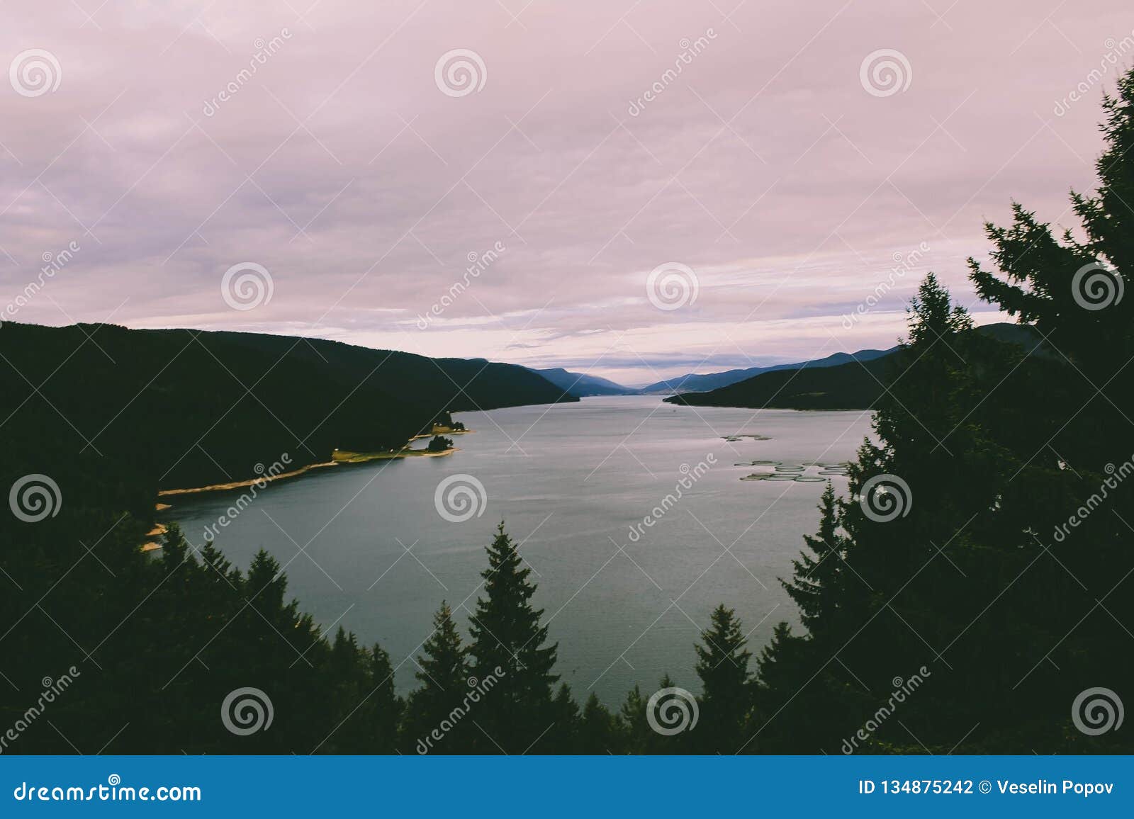 Lake Dospat stock photo. Image of wood, waterscape, trees - 134875242