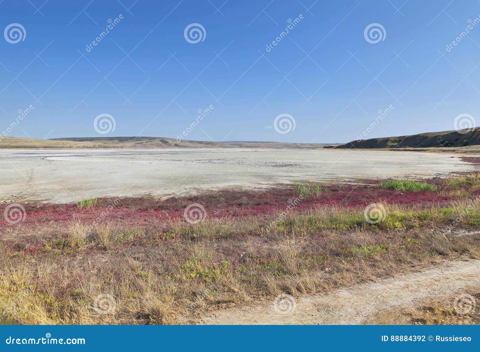 Lake dried up by drought stock photo. Image of desert - 88884392