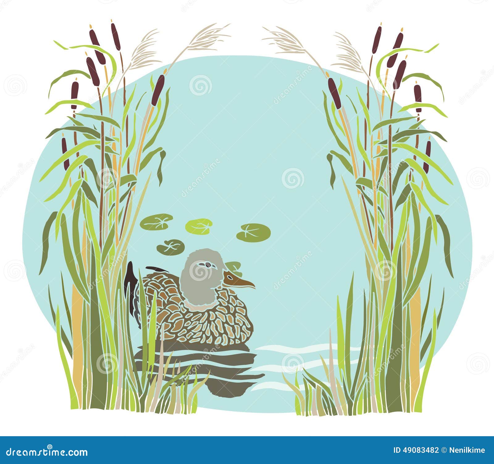 Lake and duck in the reeds stock vector. Illustration of bird - 49083482