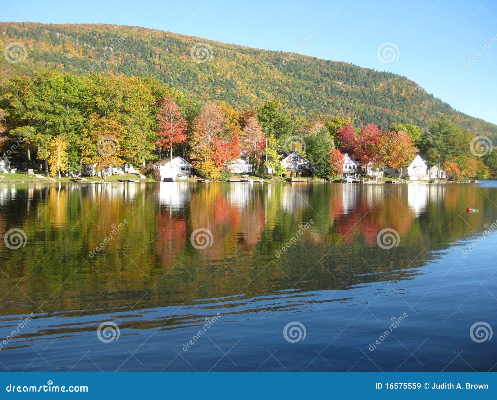 Lake Dunmore Foliage stock image. Image of lake, seasonal - 16575559