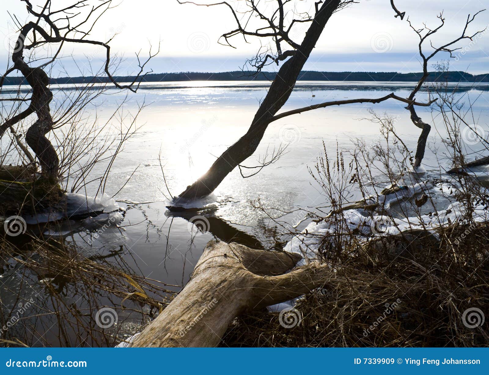 Lake in the early spring stock image. Image of scenic - 7339909