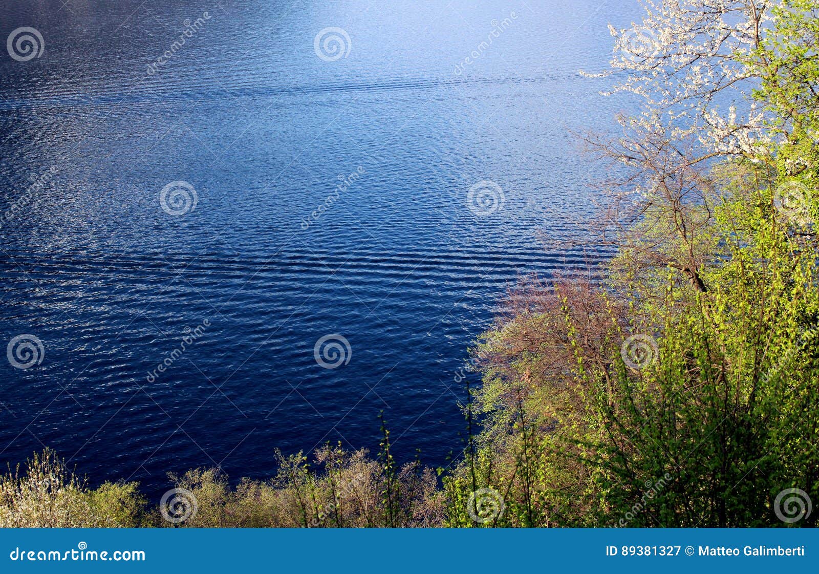 Lake in early spring stock image. Image of surface, outdoor - 89381327