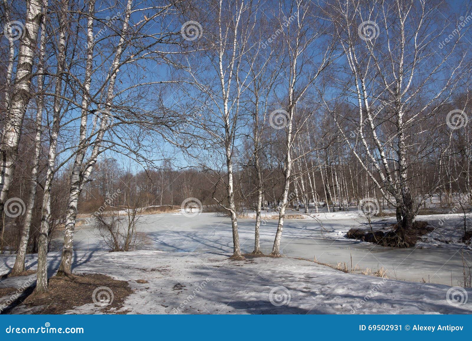 Lake in Early Spring Forest Stock Image - Image of background, rural ...