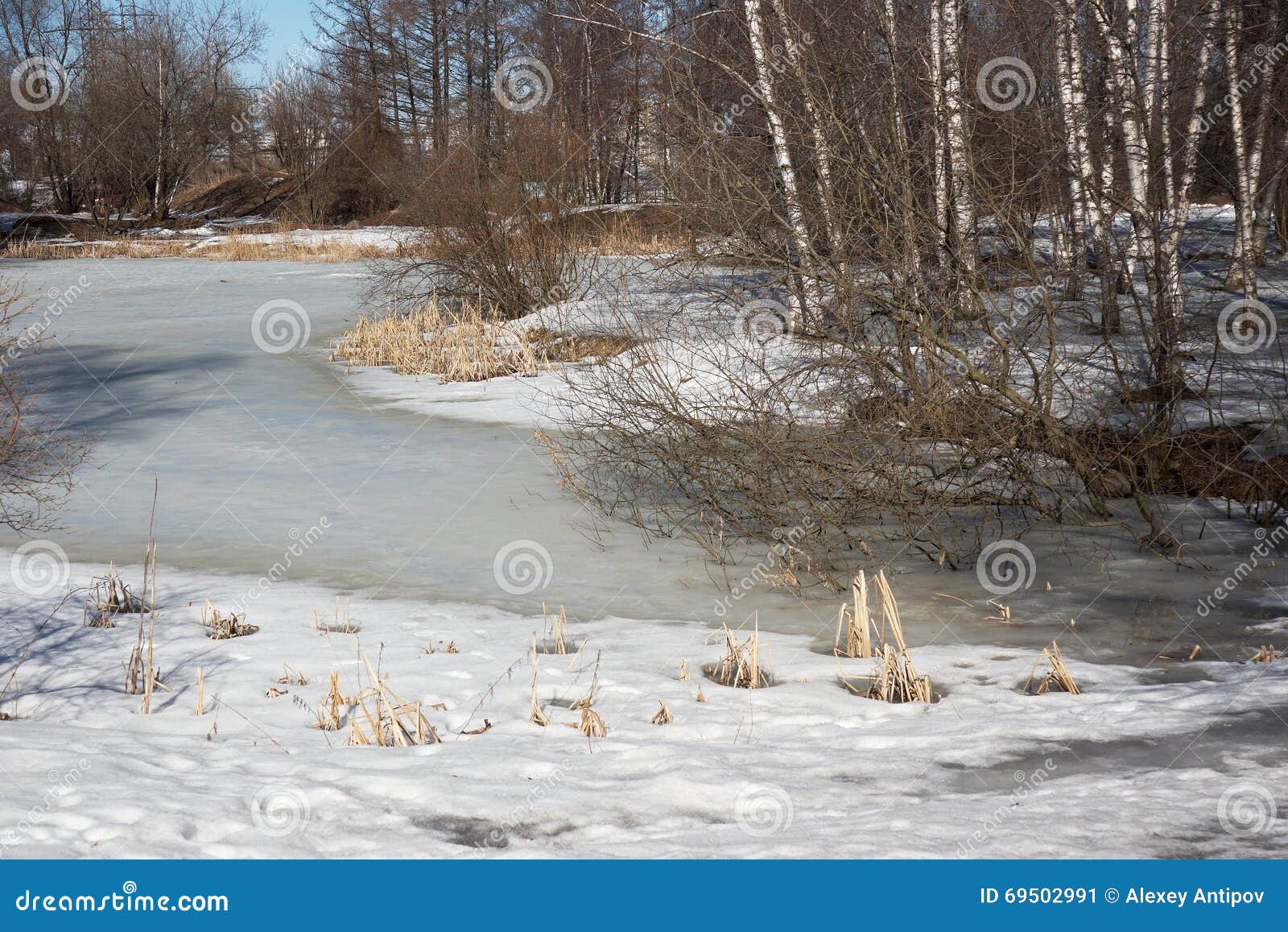 Lake in Early Spring Forest Stock Image - Image of snow, forest: 69502991