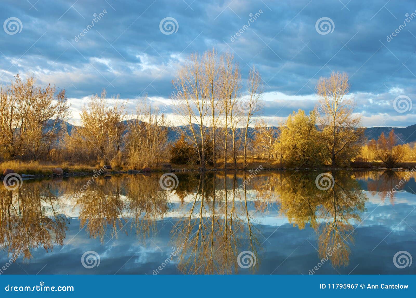 Lake Edge with Reflections stock image. Image of lovely - 11795967