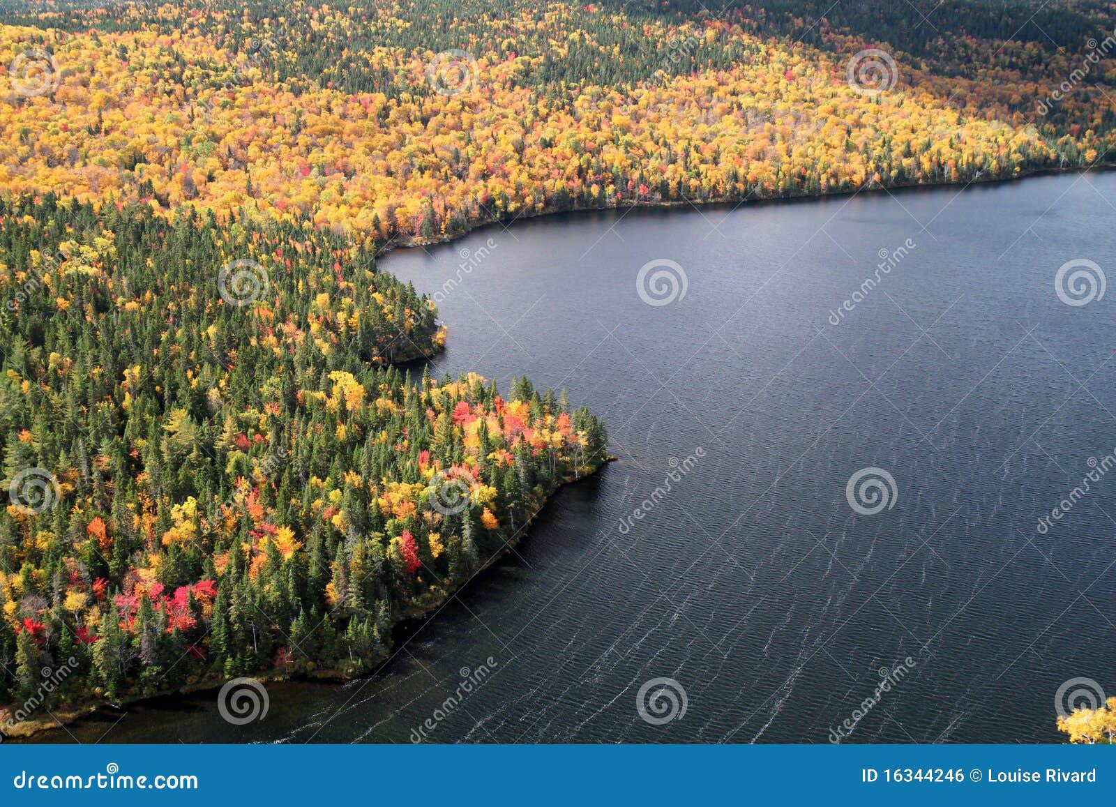 Lake in fall stock photo. Image of season, park, outside - 16344246