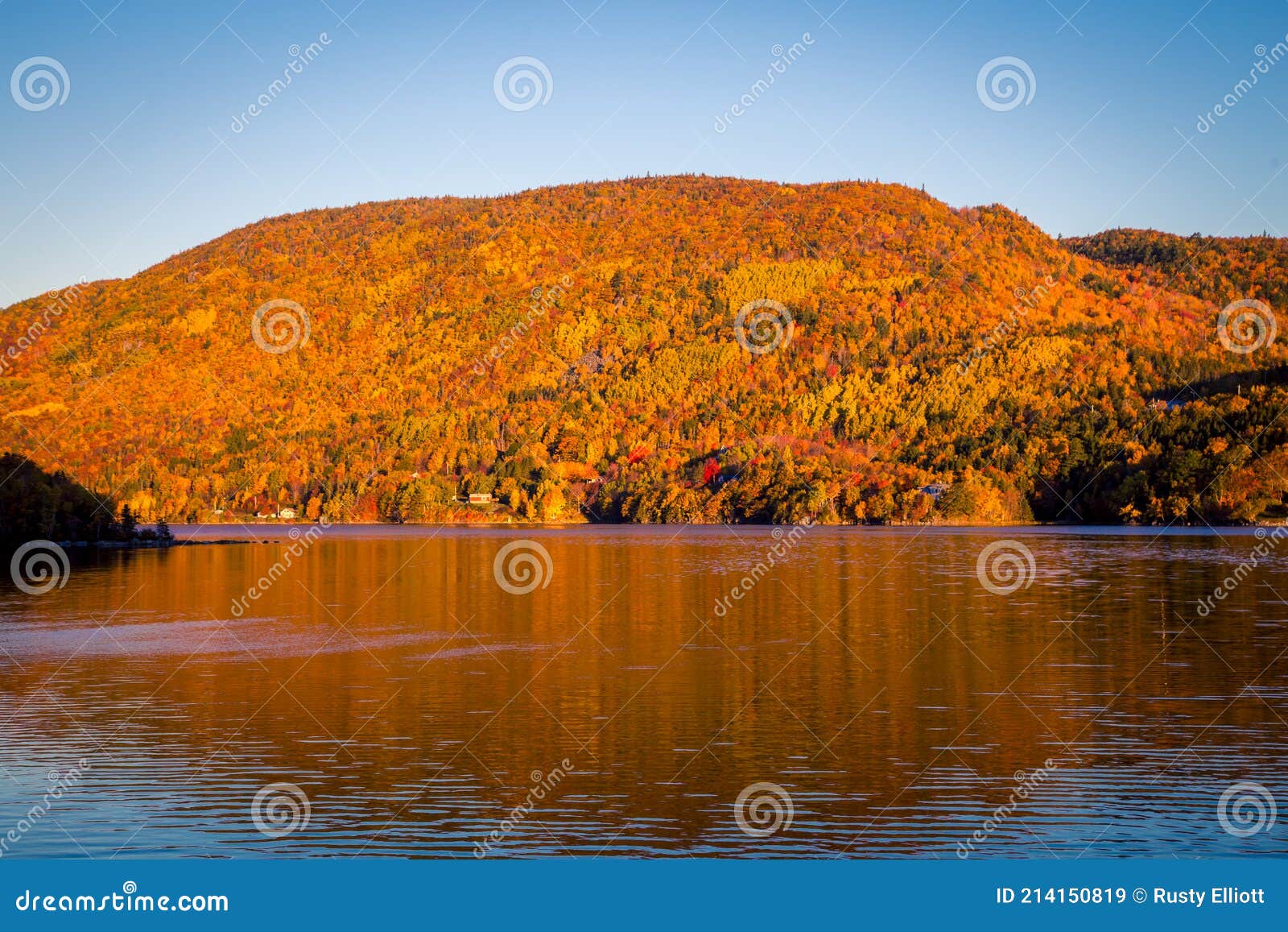 Lake in the Fall in Cape Breton Stock Image - Image of nature, mountain ...