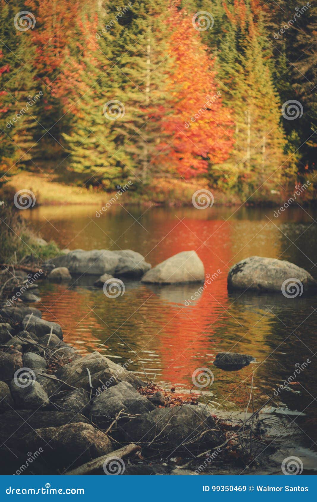 Lake during fall stock image. Image of season, fall, autumn - 99350469