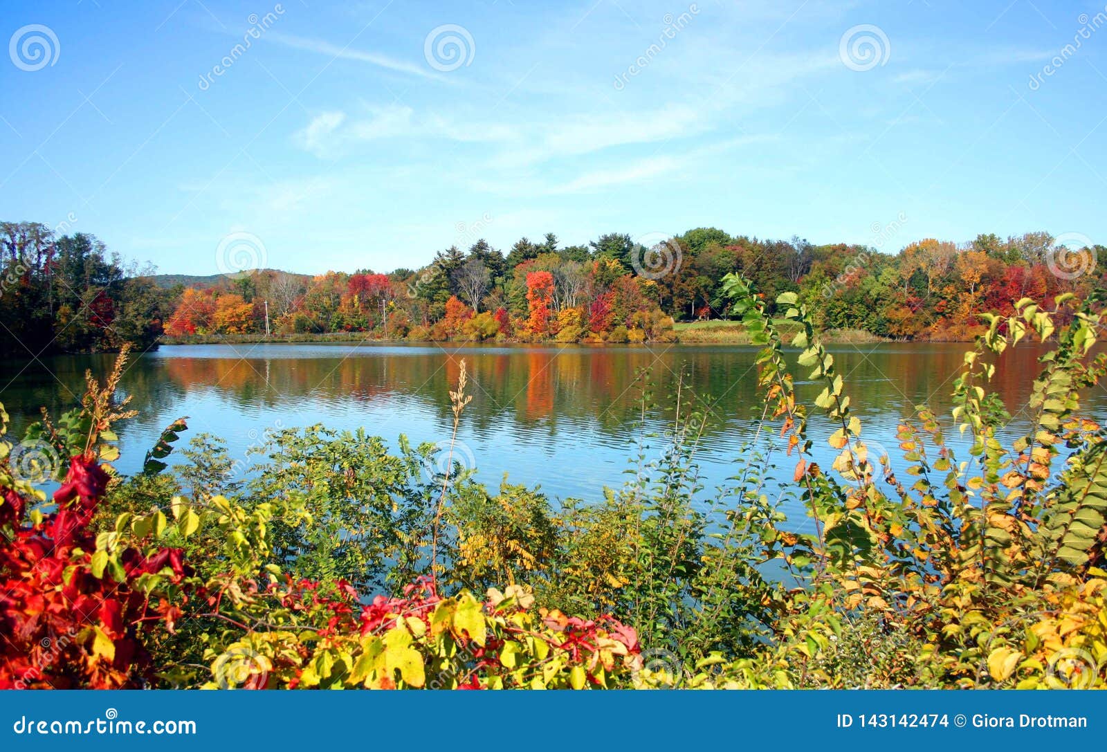 A lake in the fall stock photo. Image of foliage, nature - 143142474