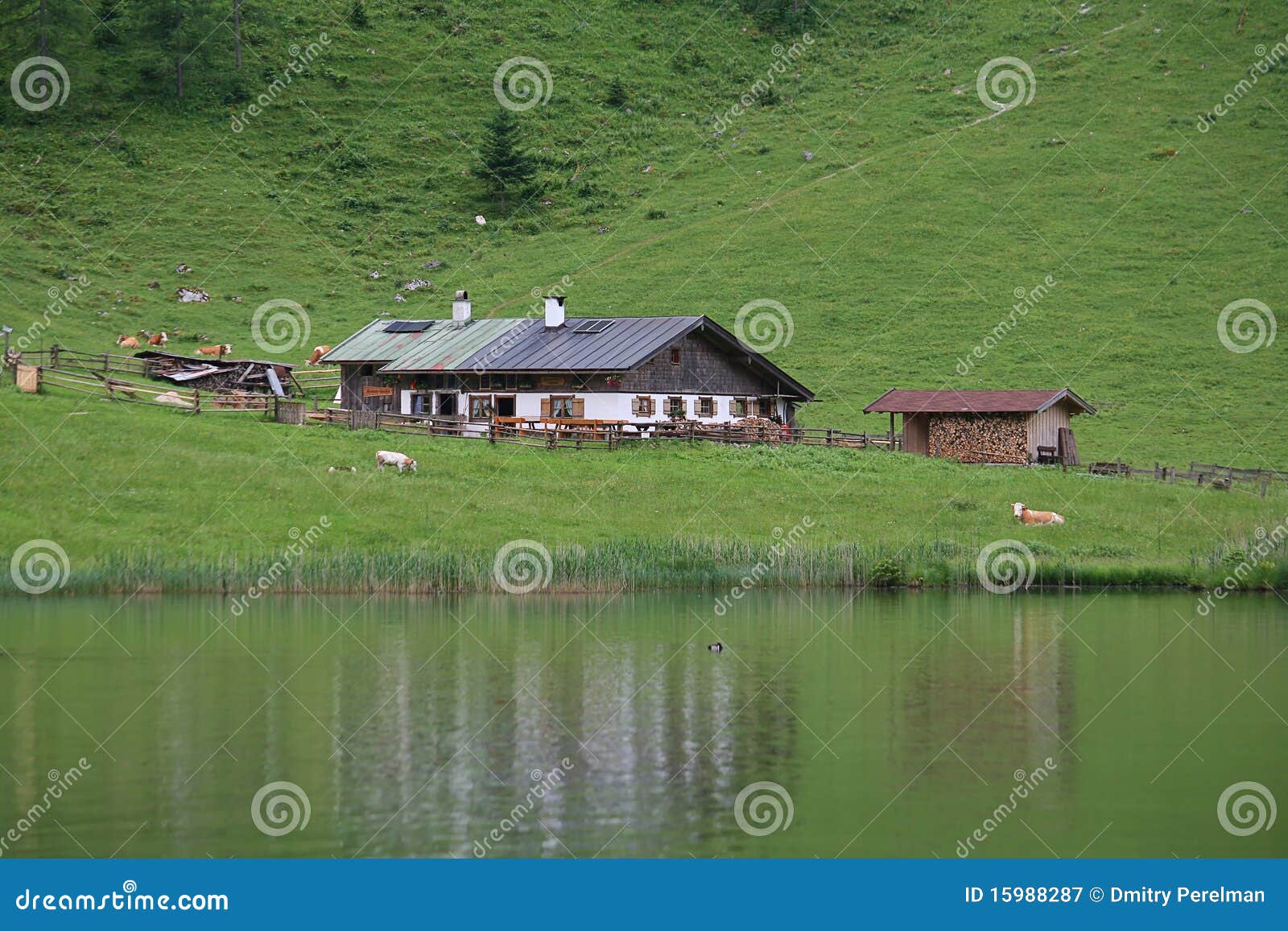 Lake farm stock image. Image of water, mountains, calmness - 15988287