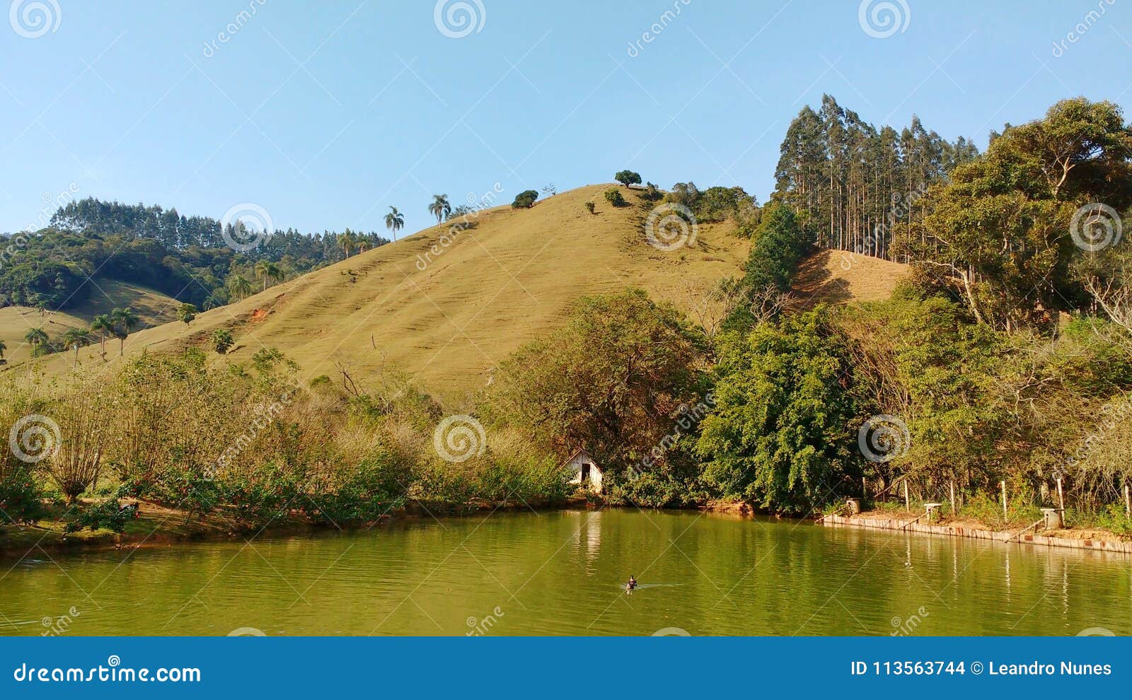 A lake on the farm stock photo. Image of landscape, water - 113563744