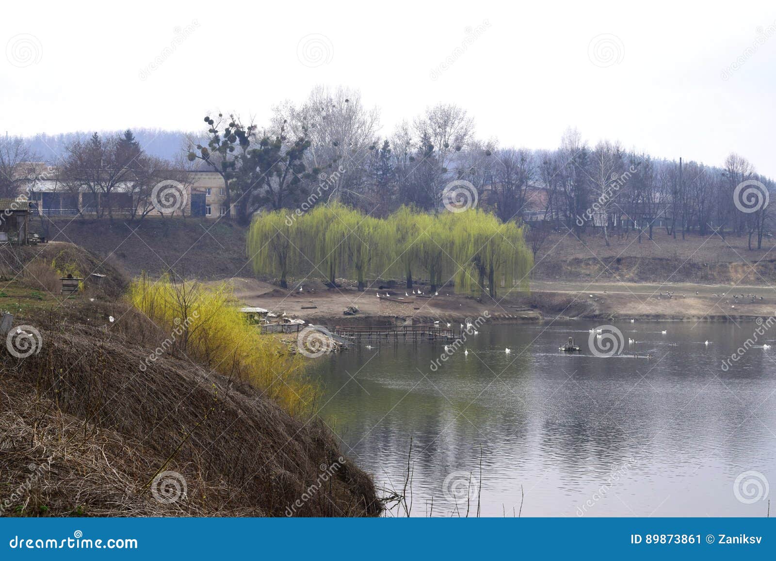 Lake&farm stock image. Image of lake, tree, morning - 89873861