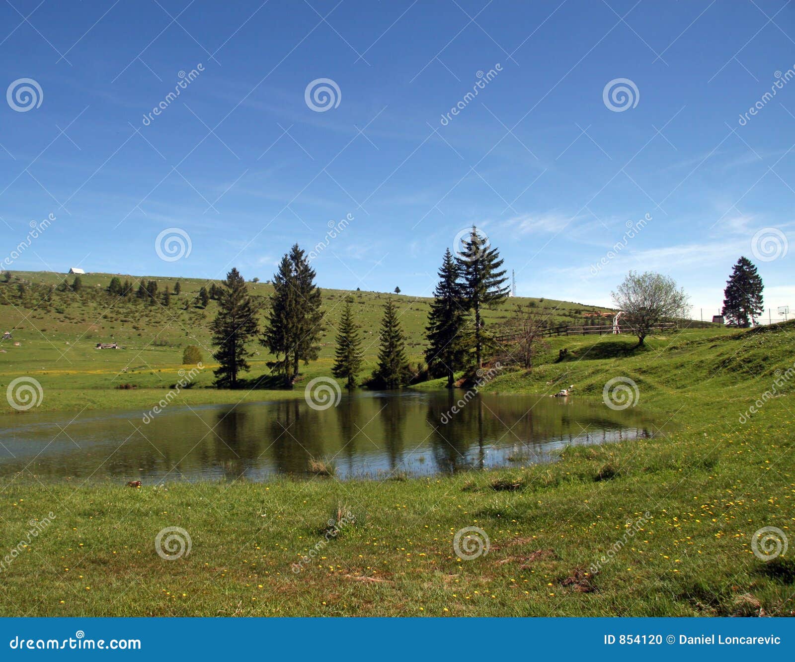 Lake at the field stock photo. Image of lake, nature, field - 854120