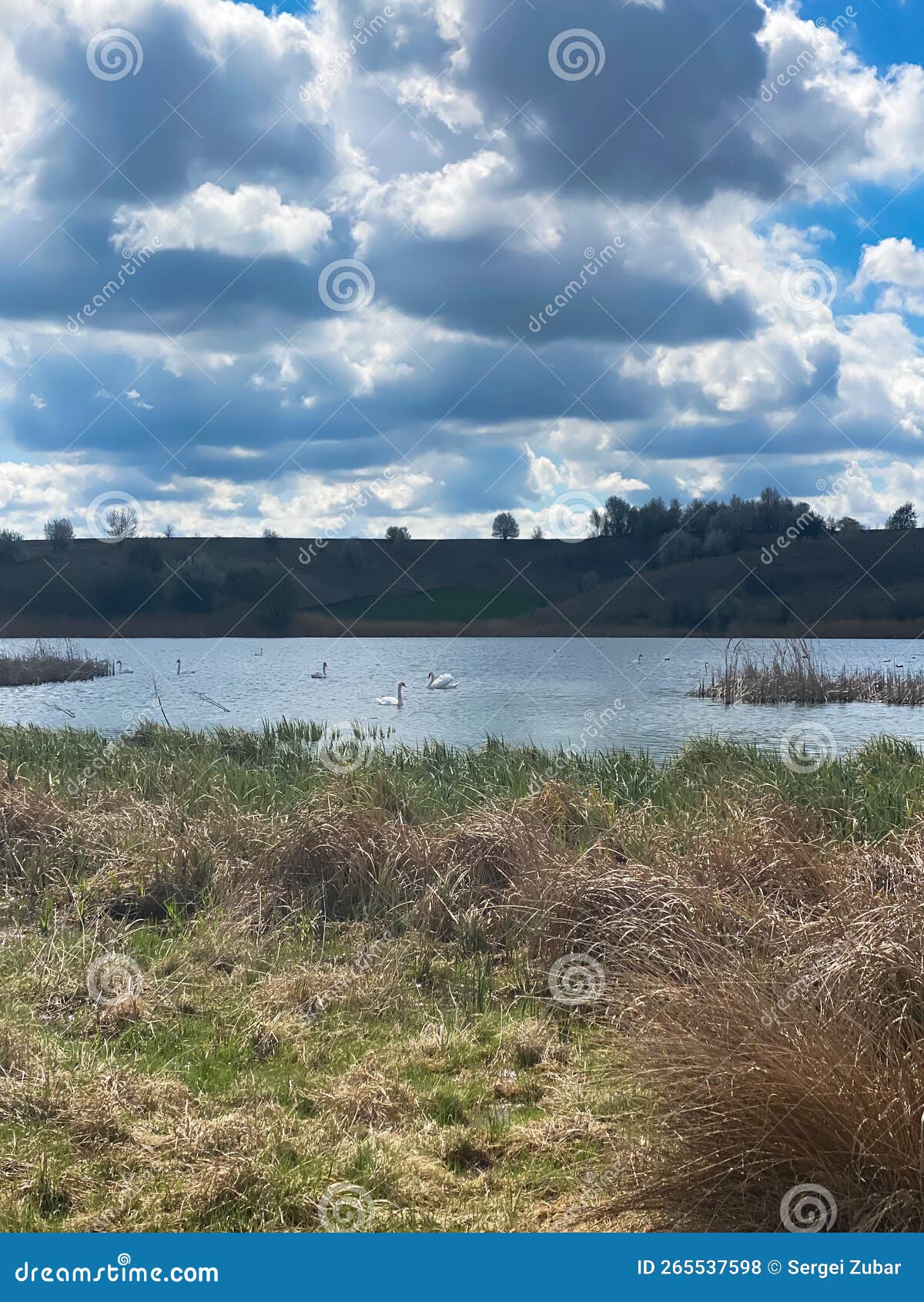 Lake and field stock photo. Image of sport, people, lake - 265537598